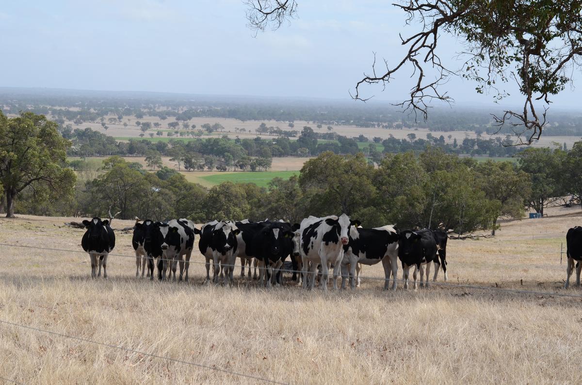 HARVEY AG WEEKLY WRAP-UP - Issue 2