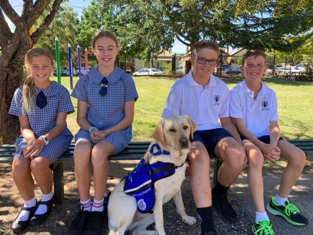 Bathurst Public School - Issue 1