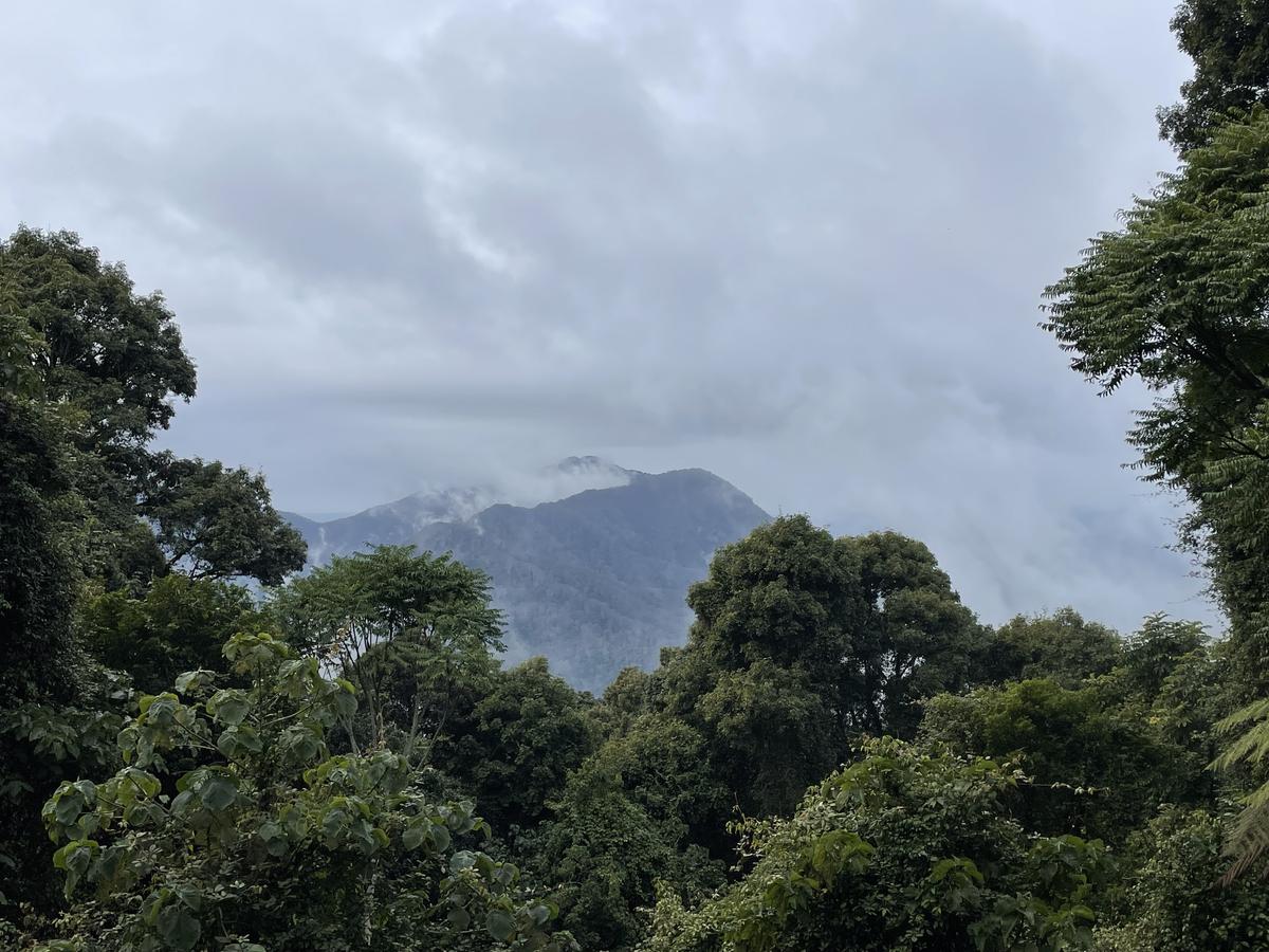 Ben Venews - Week 2 Term 3