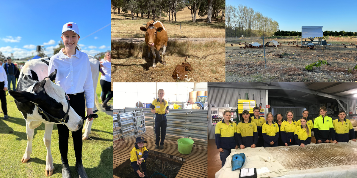 HARVEY AG WEEKLY WRAP-UP - Issue 10