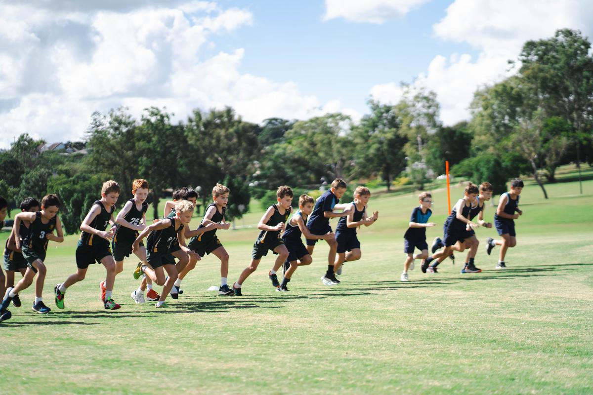 The Collective - Term 2, Week 5