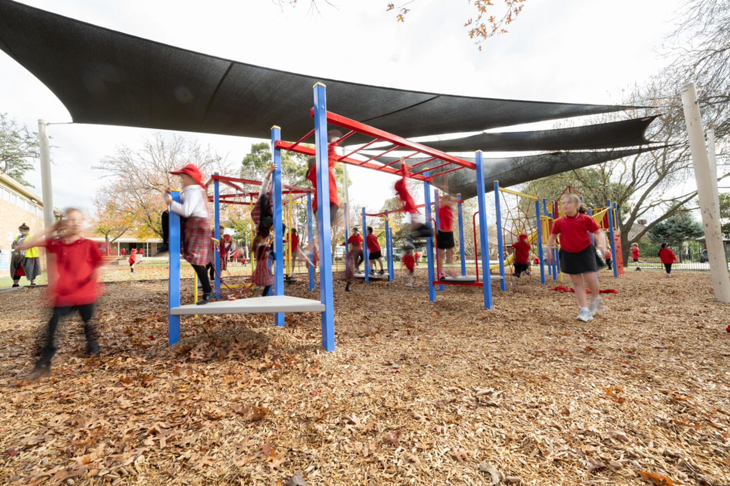 Solway Primary School Newsletter - Issue 1