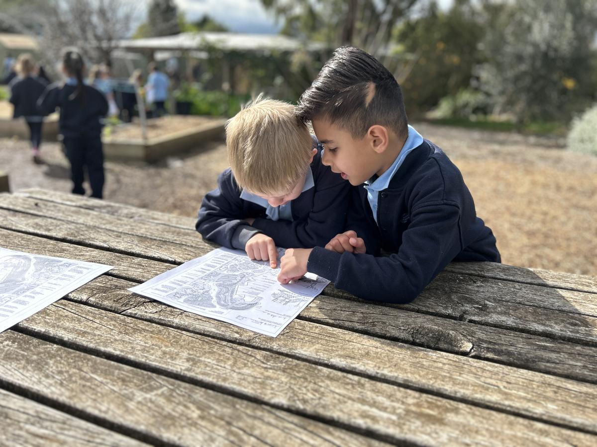 Rowville Primary School Newsletter - Issue 1
