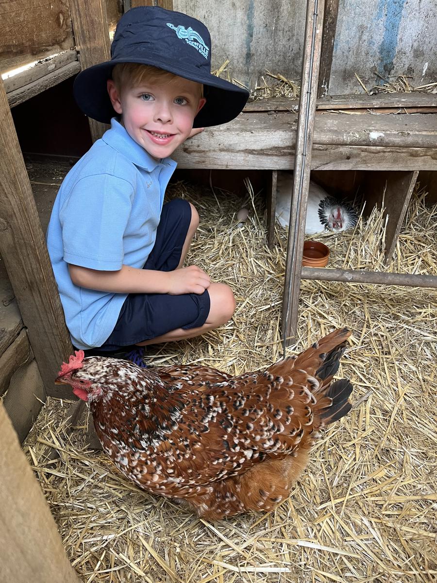 Rowville Primary School Newsletter - Issue 4