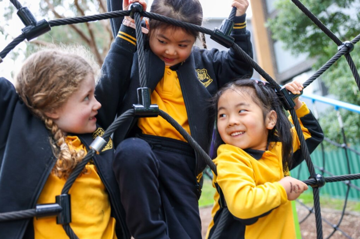 The Wattle - Term 4, Week 10, 2025