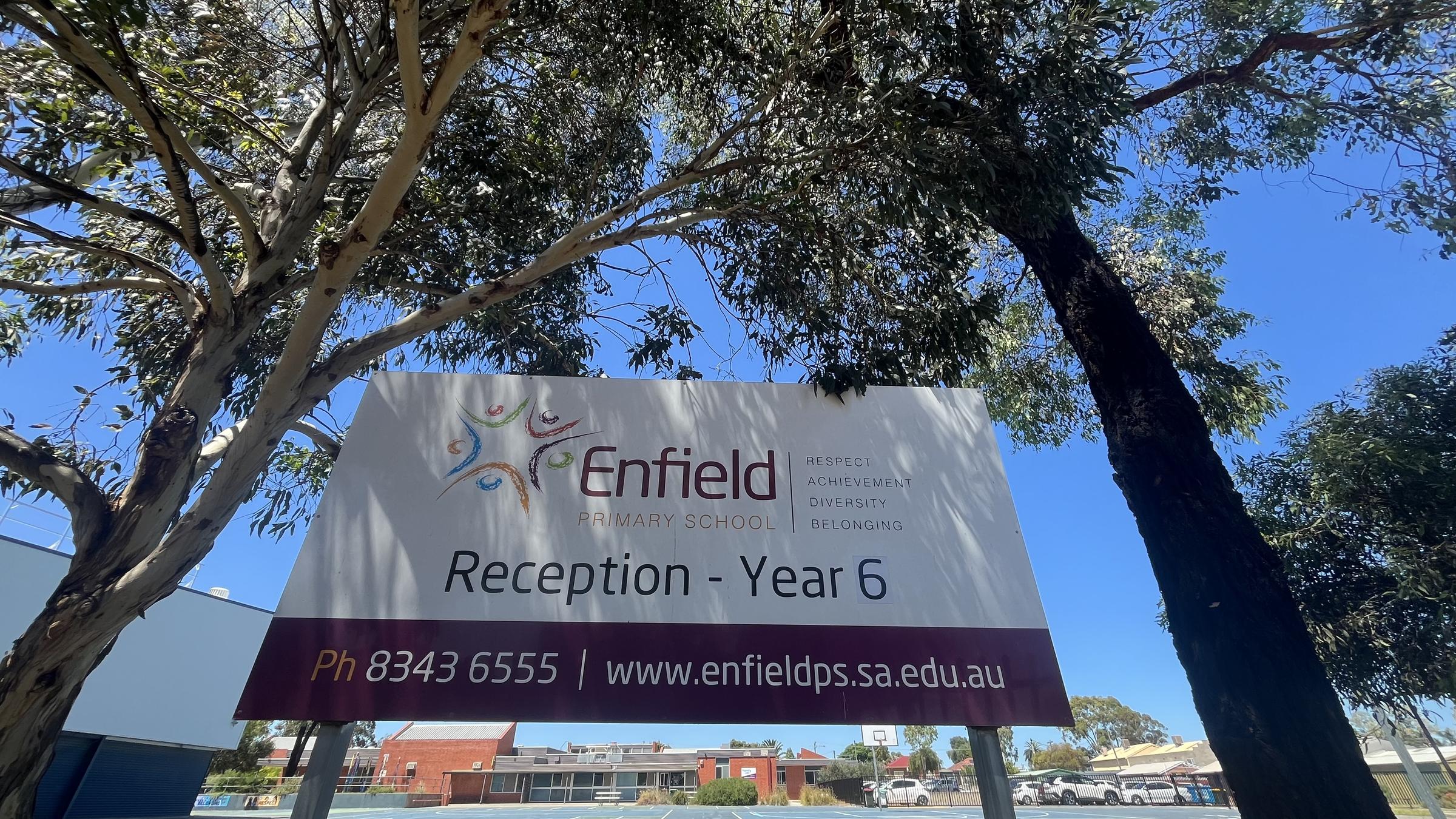 Enfield Primary School Newsletter - Issue 1