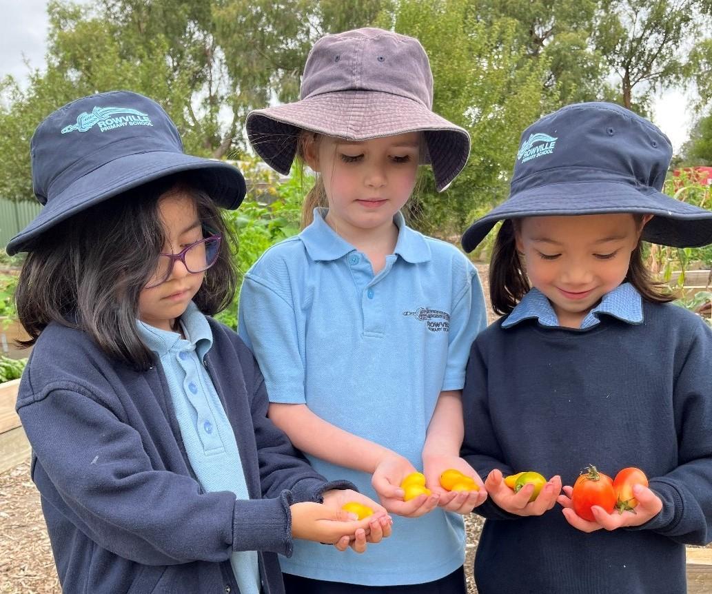 Rowville Primary School Newsletter - Issue 18
