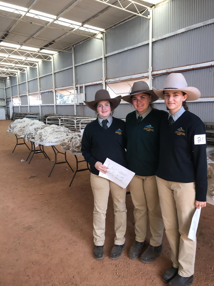 HARVEY AG WEEKLY WRAP-UP - Issue 16