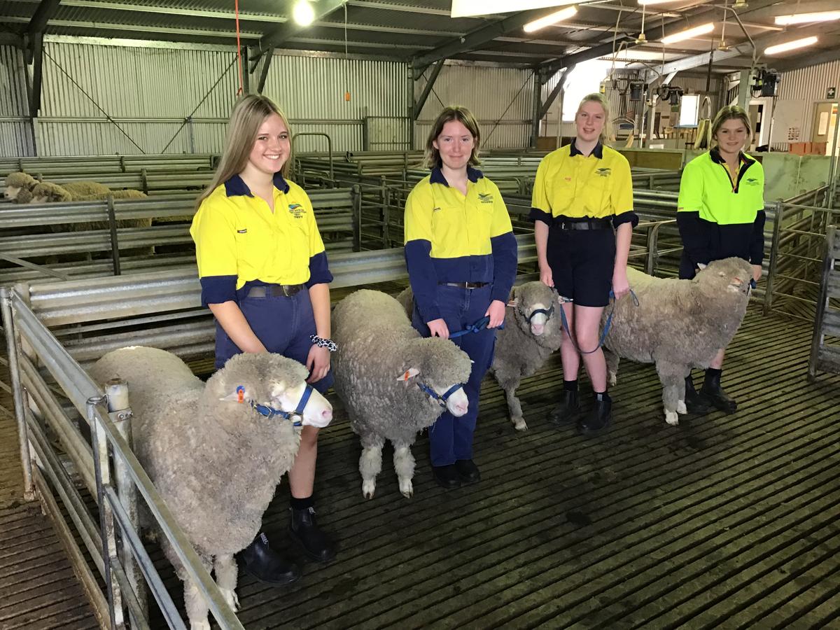 HARVEY AG WEEKLY WRAP-UP - Issue 7