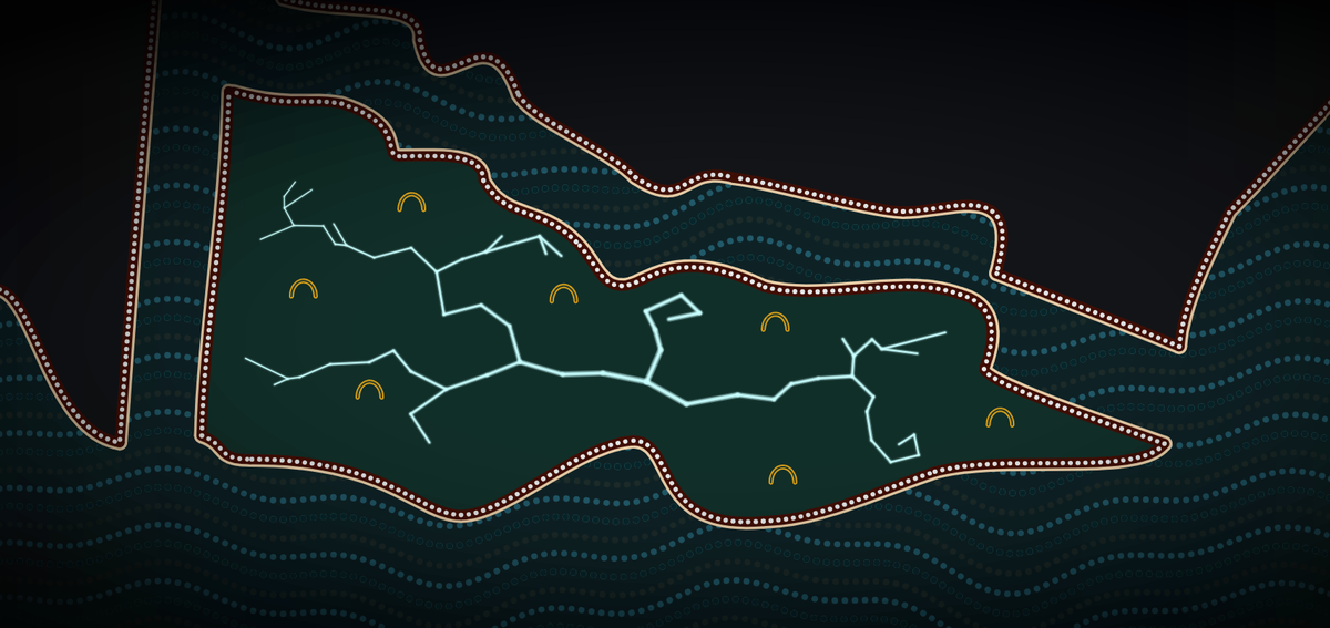 WHSC Newsletter - Issue 19