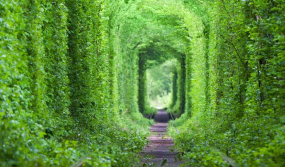 Inside Ivanhoe - Issue 11