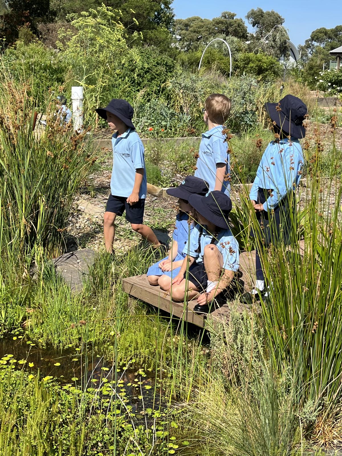 Rowville Primary School Newsletter - Issue 9