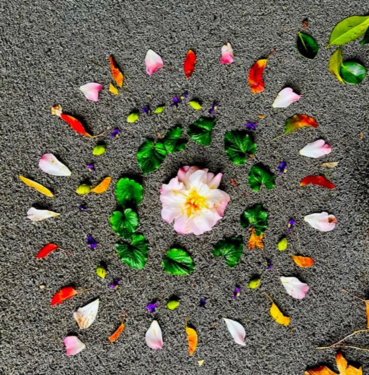 Inside Ivanhoe - Issue 23