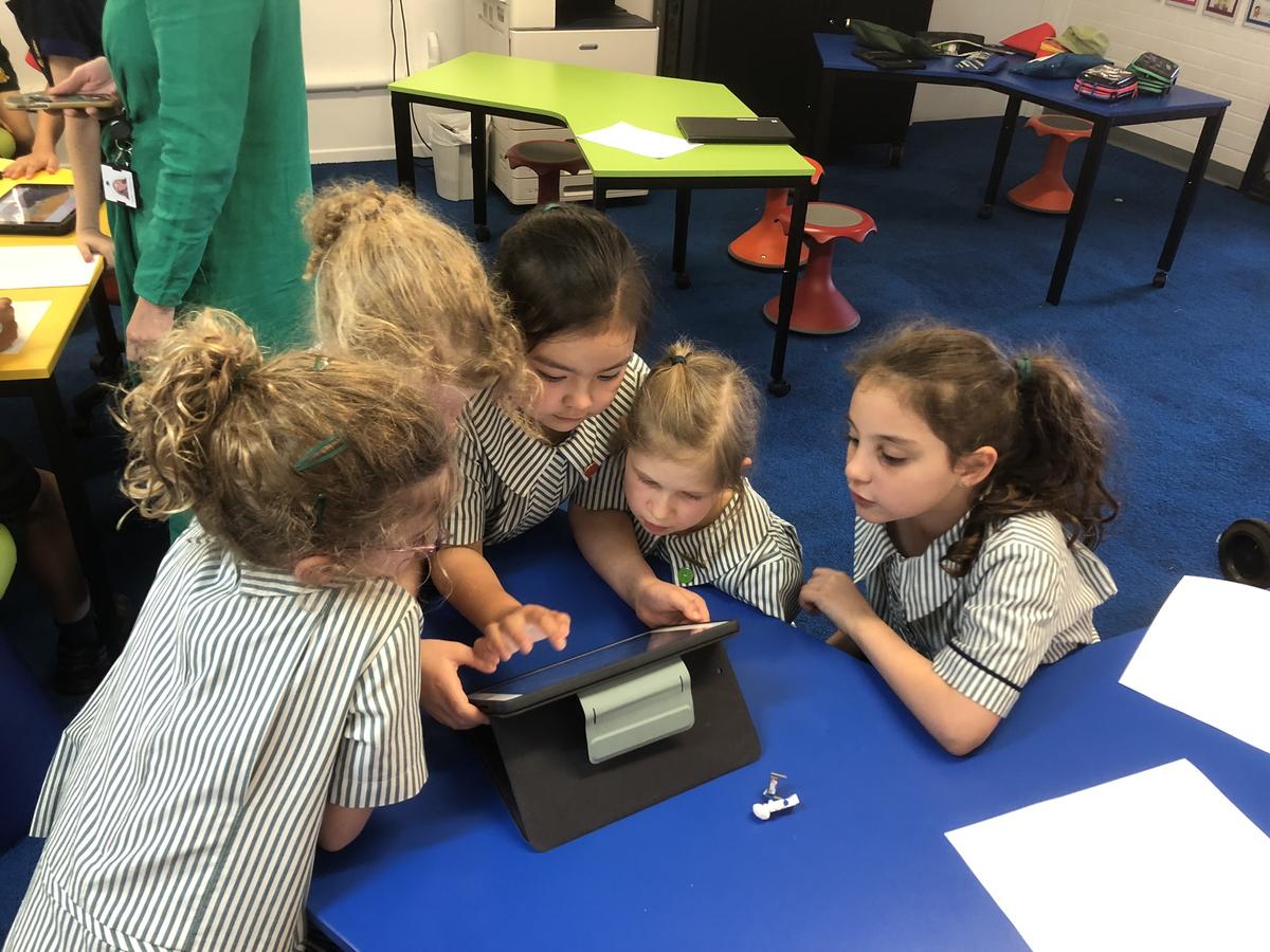 The Collective - Term 3, Week 7