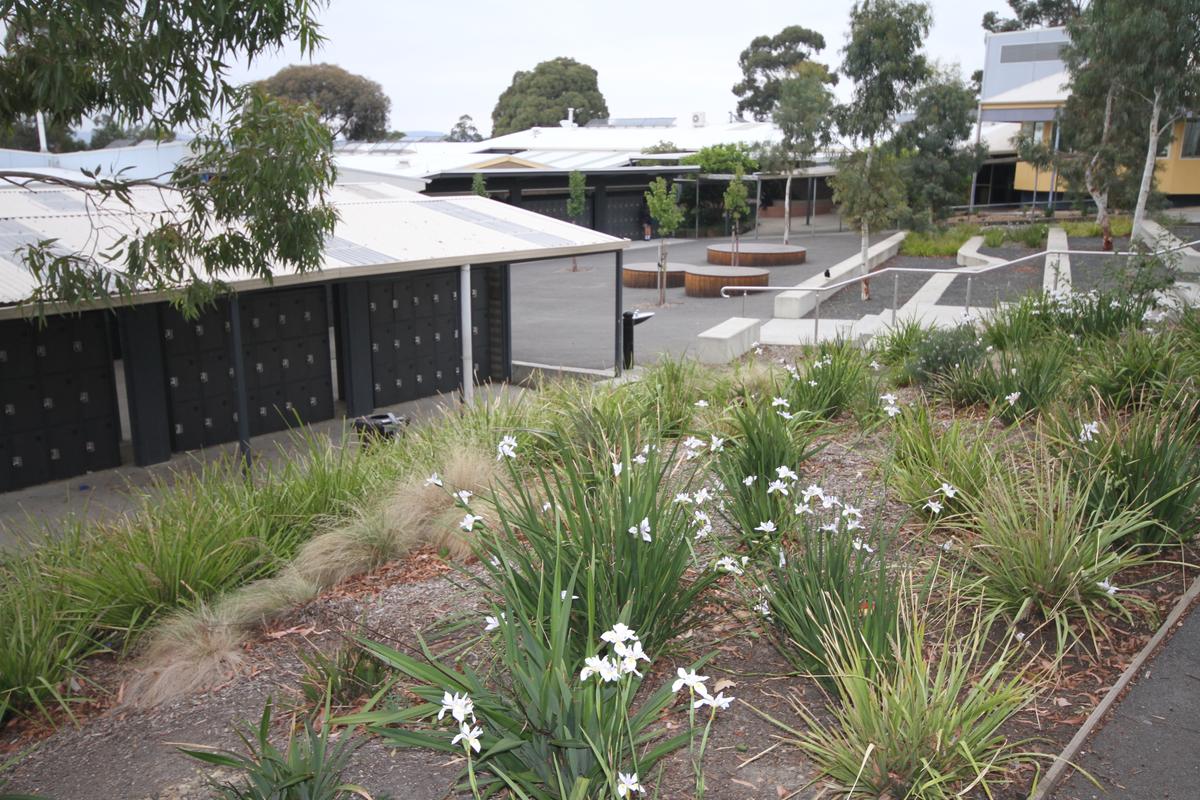 Wantirna College Newsletter - Issue 16