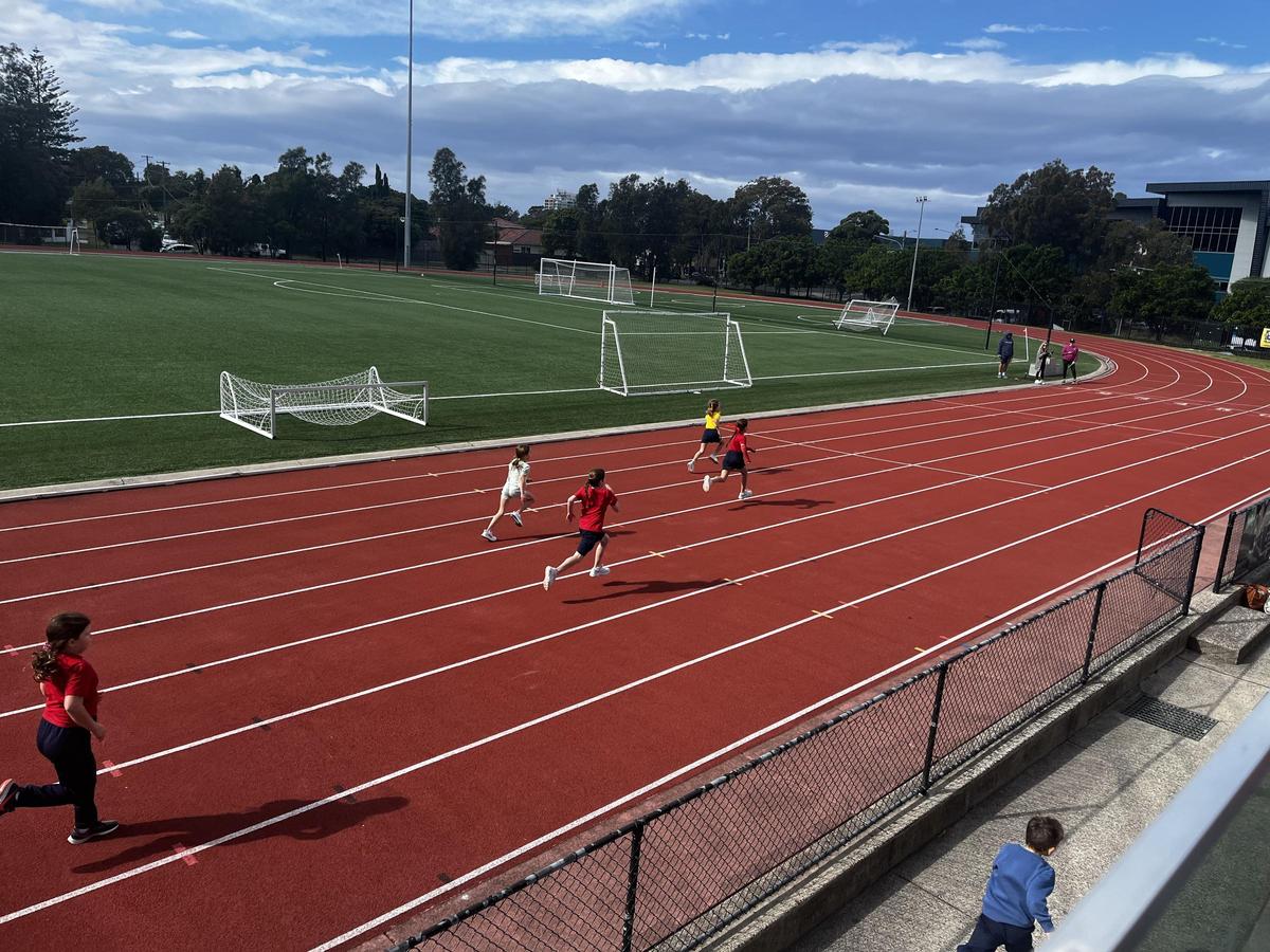 St Margaret Mary's School Newsletter - T2 WEEK 2