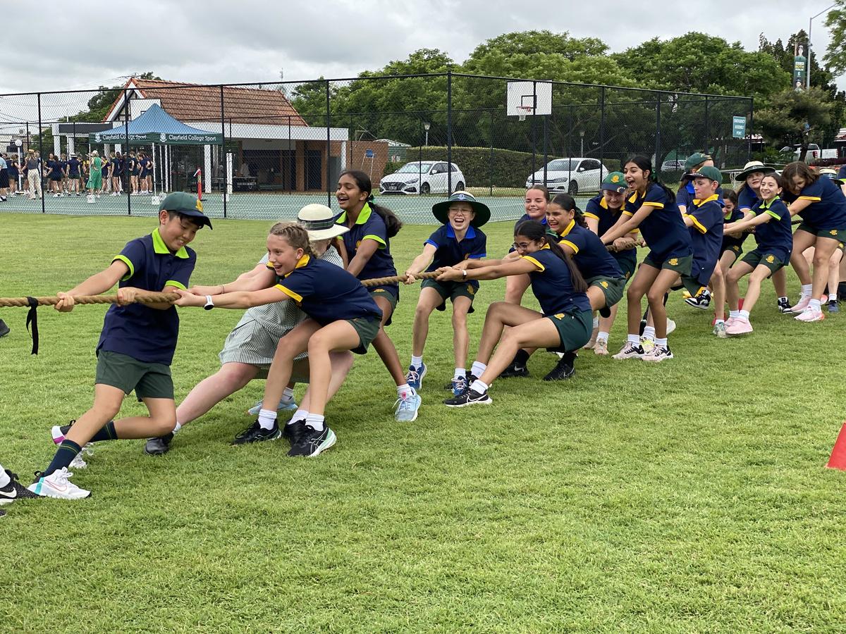 The Collective - Term 1, Week 7